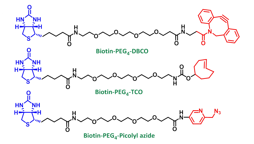 DBCO，TCO，Tetrazine，Azide，Biotin labeling，PEG，Cyanine，Ir catalyst,西安康福诺生物科技有限公司,成都栢尔康生物科技有限公司