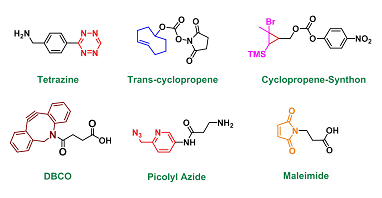 DBCO，TCO，Tetrazine，Azide，Biotin labeling，PEG，Cyanine，Ir catalyst,西安康福诺生物科技有限公司,成都栢尔康生物科技有限公司