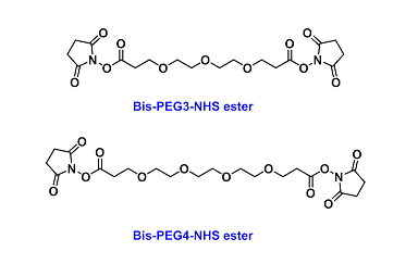 Bis-PEGn-NHS ester | 西安点化生物科技有限公司（原成都栢尔康）