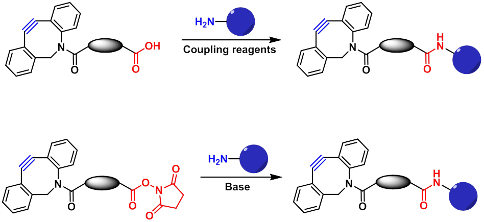 二苯并环辛炔 (DBCO) | 西安点化生物科技有限公司（原成都栢尔康）