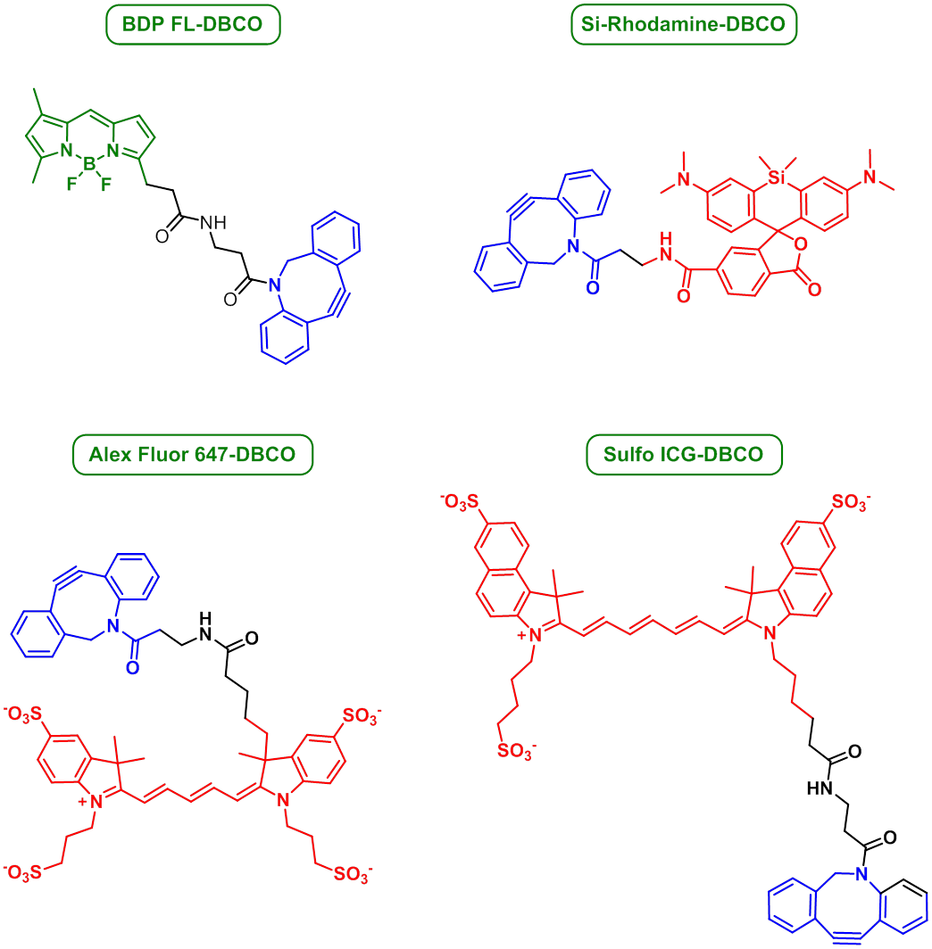 二苯并环辛炔 (DBCO) | 西安点化生物科技有限公司（原成都栢尔康）